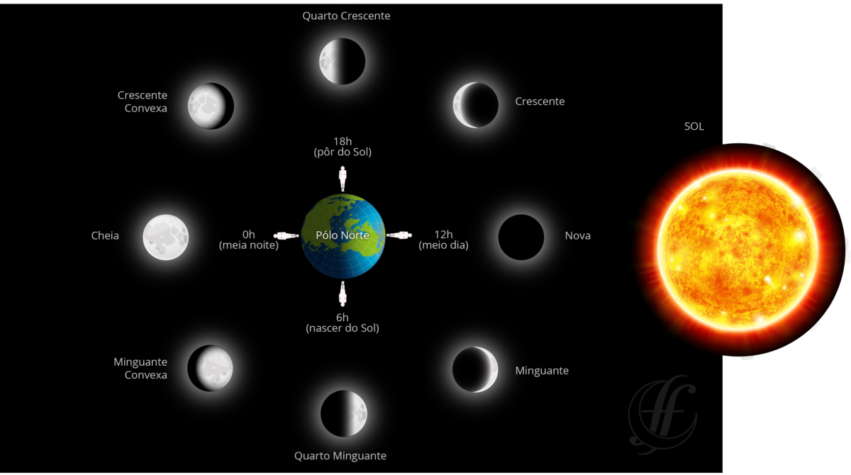 As Fases da Lua - Fernanda Filippini