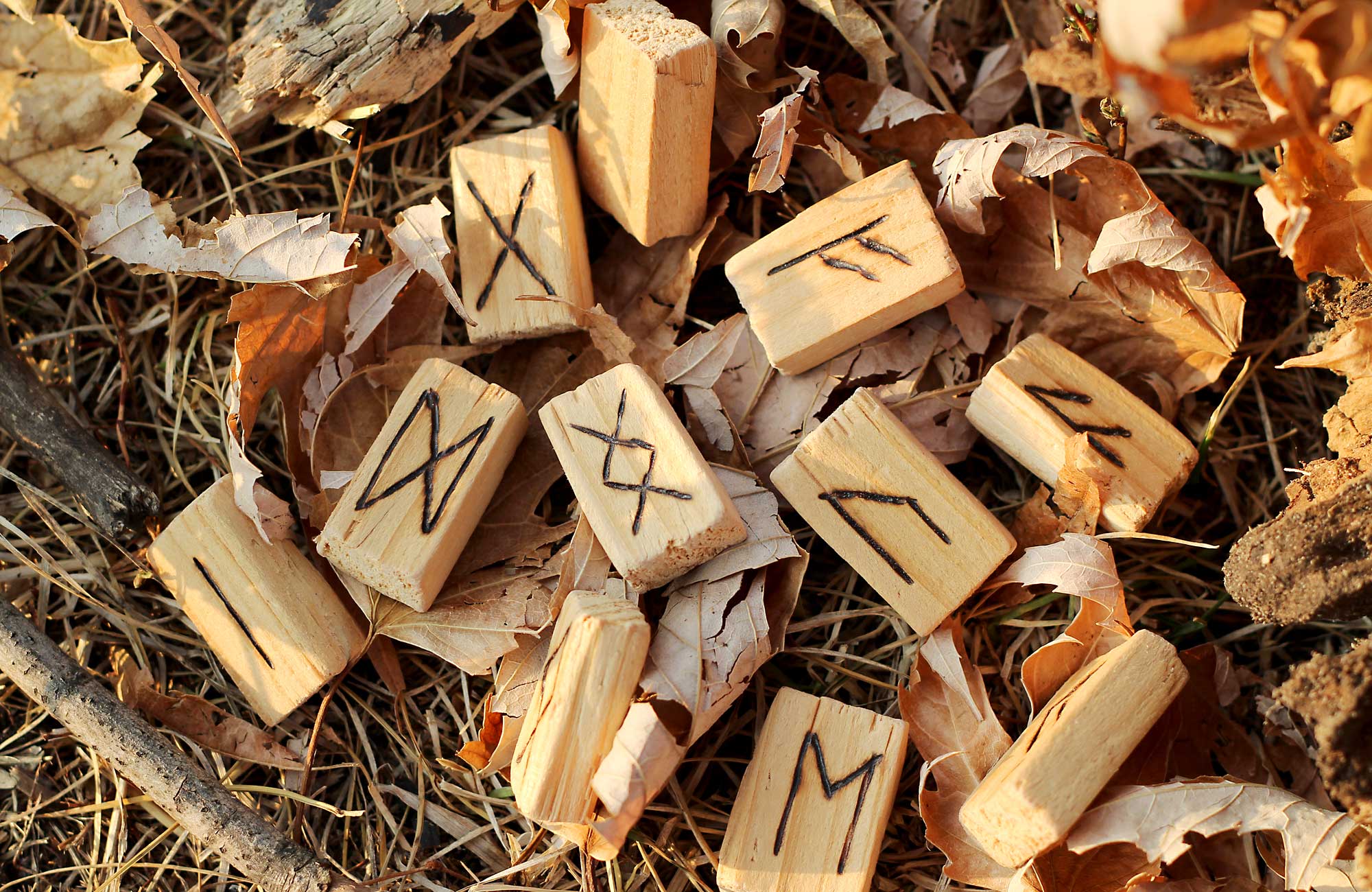 Curso de Runas Nórdicas - Fernanda Filippini